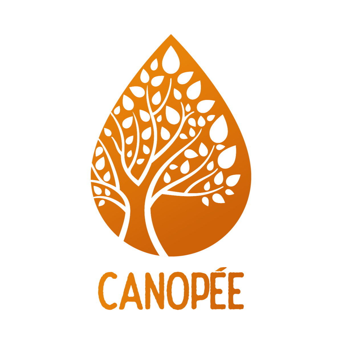 Accueil - Canopée