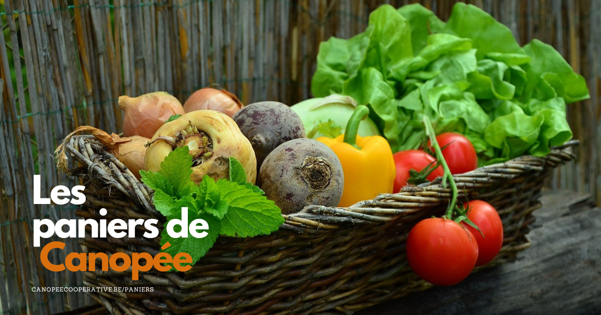 Vente de notre production - Canopée